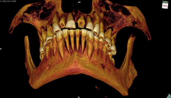 10 Major Contributions Ancient Egyptians Made to Modern Medicine