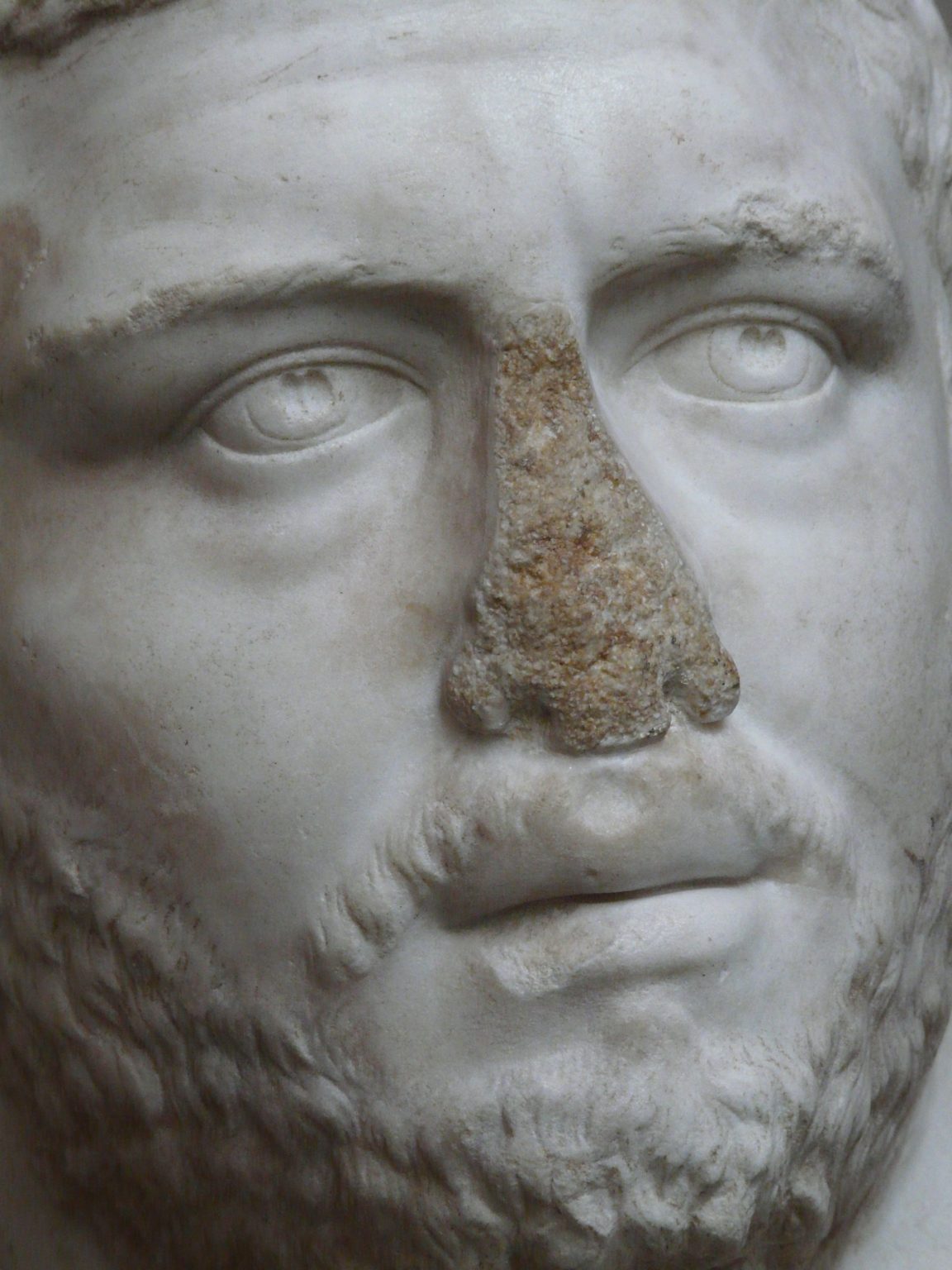 The African Presence in the Roman World