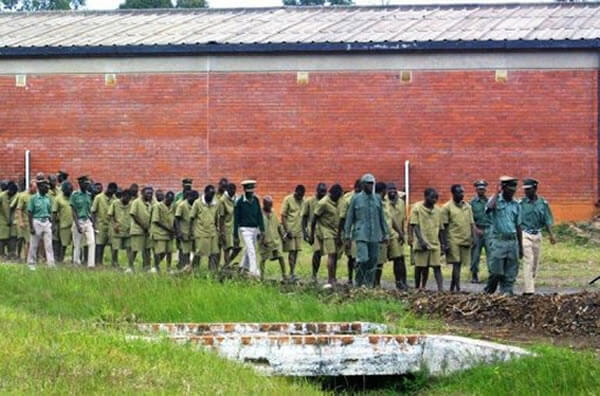 Official on Zimbabwe Pardoning Thousands of Prisoners: 'Inmates Should ...