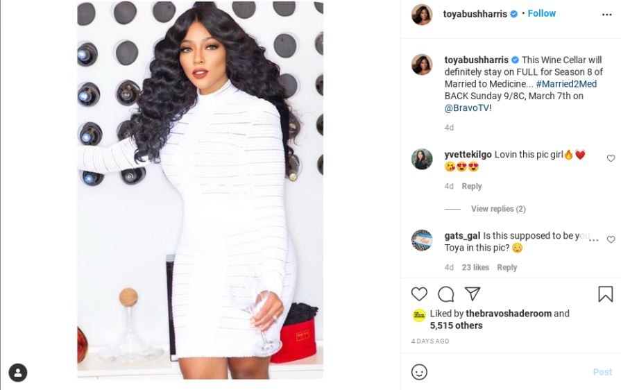 ‘Who Is This Lady?’: Toya Bush-Harris’ All-White Shoot Goes Left When ...