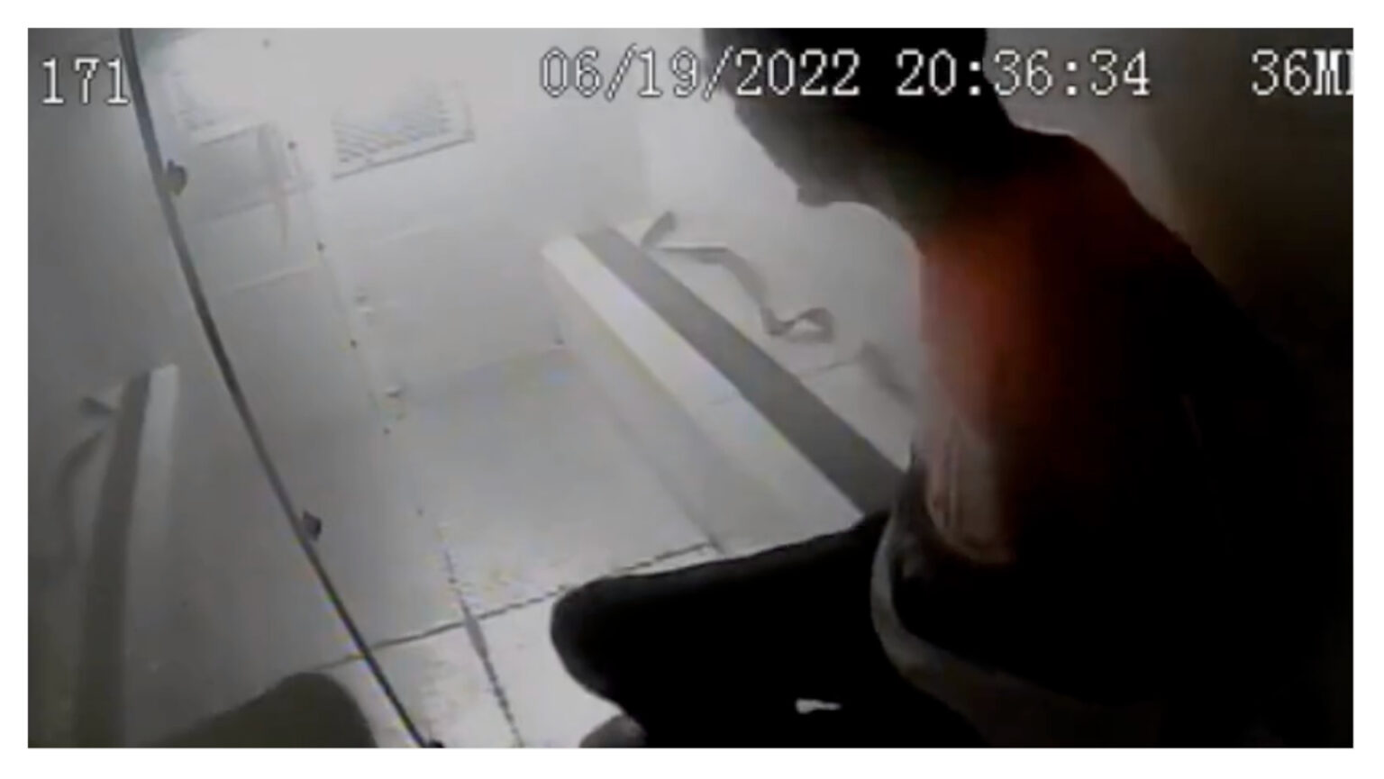 Five Connecticut Officers Arrested on Charges of Reckless Endangerment and Criminal Cruelty to ...