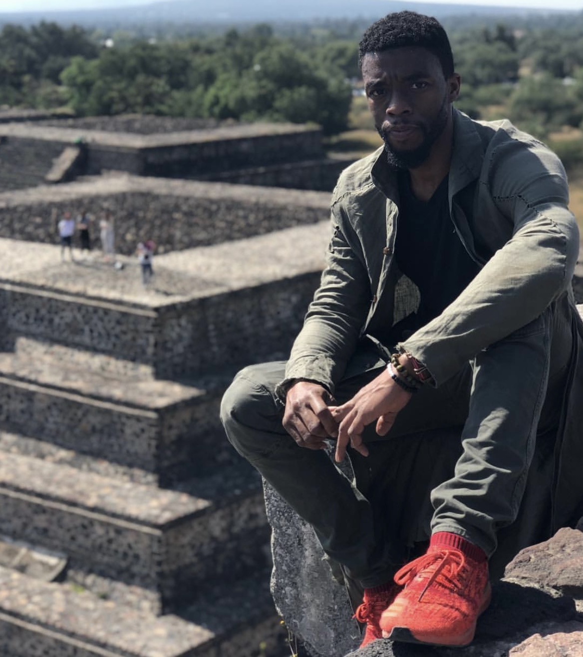 'What an Incredible Honor': Chadwick Boseman Receives First Emmy ...