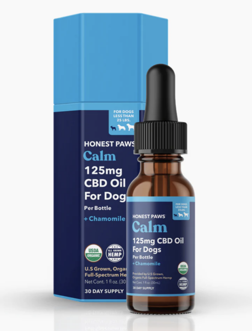 CBD Oil For Dogs: Top 10 Brands To Calm Your Pup Down