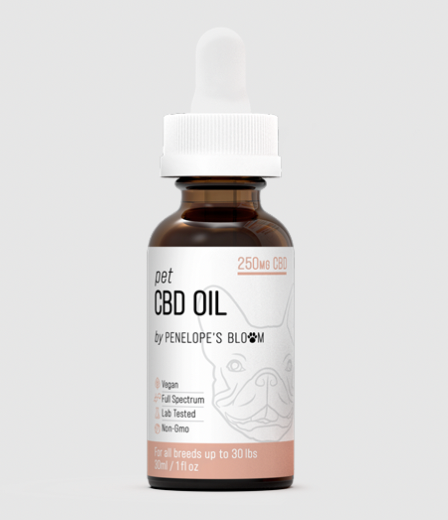 CBD Oil For Dogs: Top 10 Brands To Calm Your Pup Down