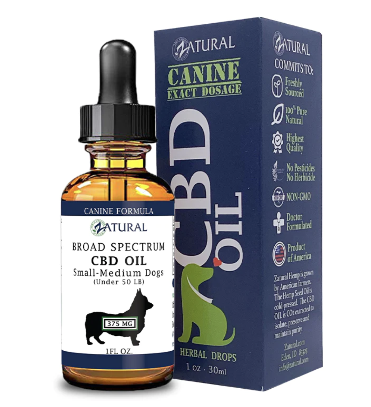 CBD Oil For Dogs: Top 10 Brands To Calm Your Pup Down