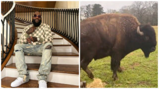 'Probably Just Came Over to Borrow Some Sugar': Rick Ross’ Promise Land ...