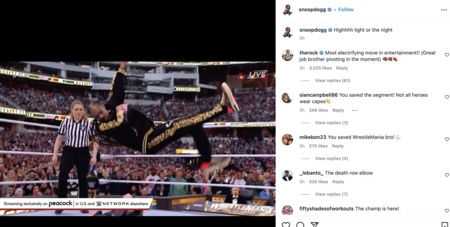 'And They Say Wrestling Is Fake': Snoop Dogg Shows Out on WrestleMania ...