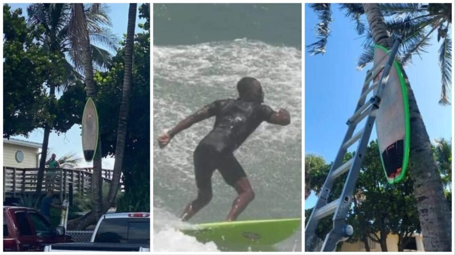 'Can't Stand to See a Black Man In Their Waters': Florida Surfer's ...