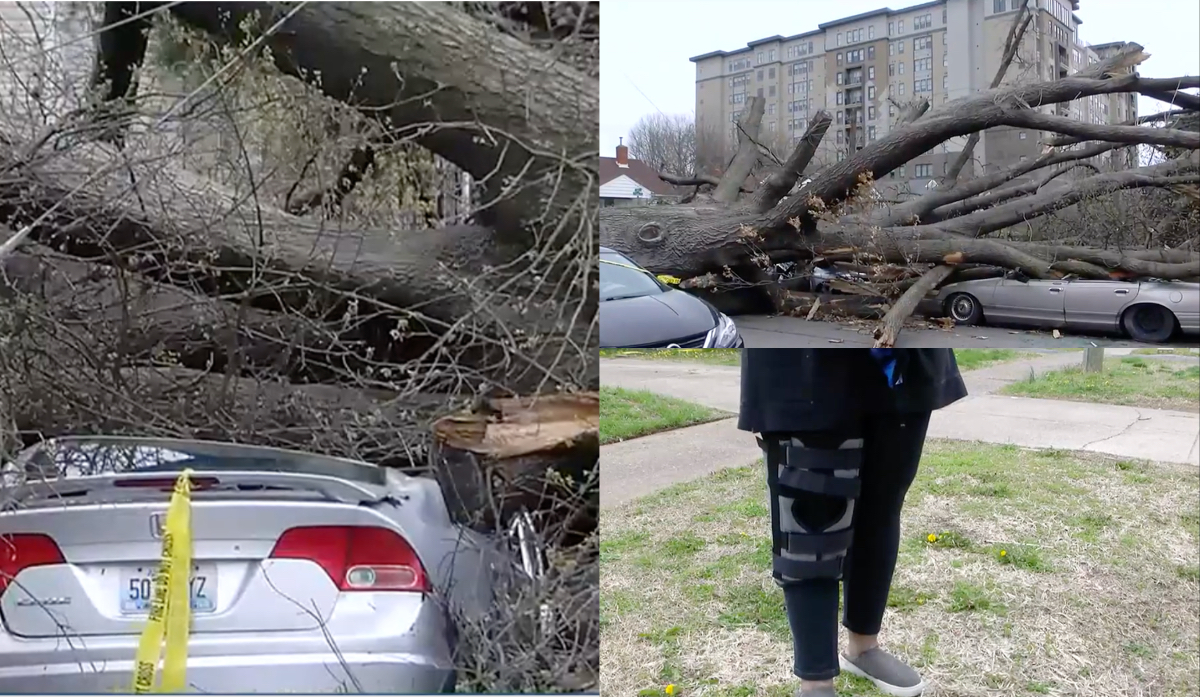 'Like Something In a Movie': Kentucky Woman 'Grateful' to be Alive ...
