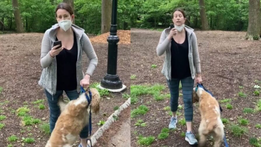 'I Just Felt Raw Fear’: 'Central Park Karen' Doubles Down In New Op-Ed ...