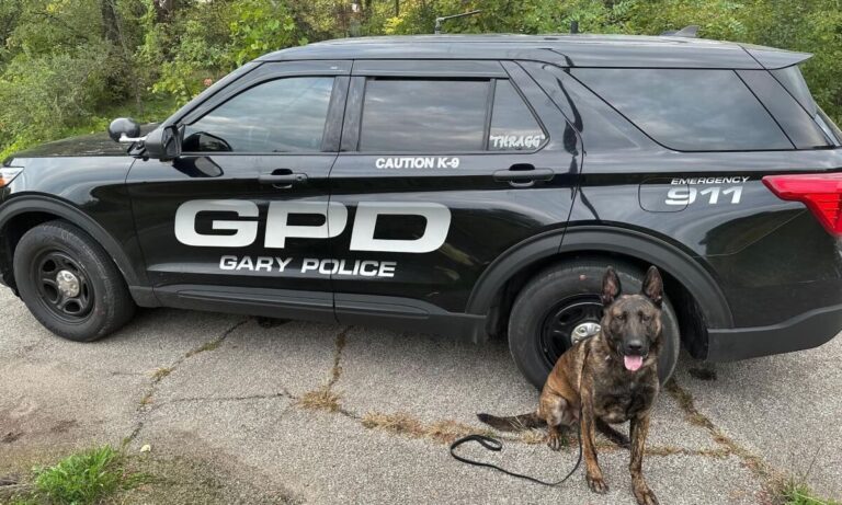 Ex-Fraternal Order of Police President Who Yanked Black Motorist from ...