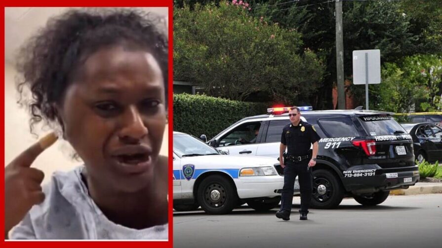 'It Was Mutual Combat': 'Brick Lady' Reportedly Slapped Man In the Face ...