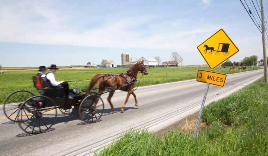Woman Allows Twin Sister to Take the Fall for Amish Buggy Crash In ...