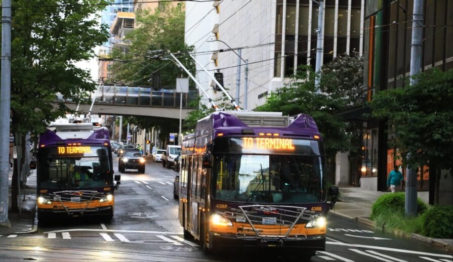 Black Woman on Bus Is Dragged Off It, Stabbed In Alleged Racially ...